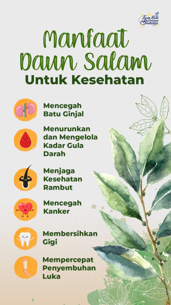Bukan Hanya Jadi Pelengkap Masakan, Ini Dia Manfaat Daun Salam untuk ...